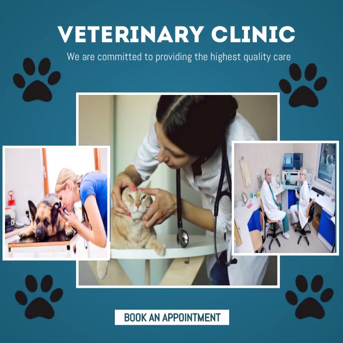 Penawaran Layanan Klinik Hewan di Brosur Iklan Biru Templat | PosterMyWall