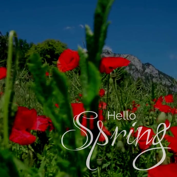 Video template spring | PosterMyWall