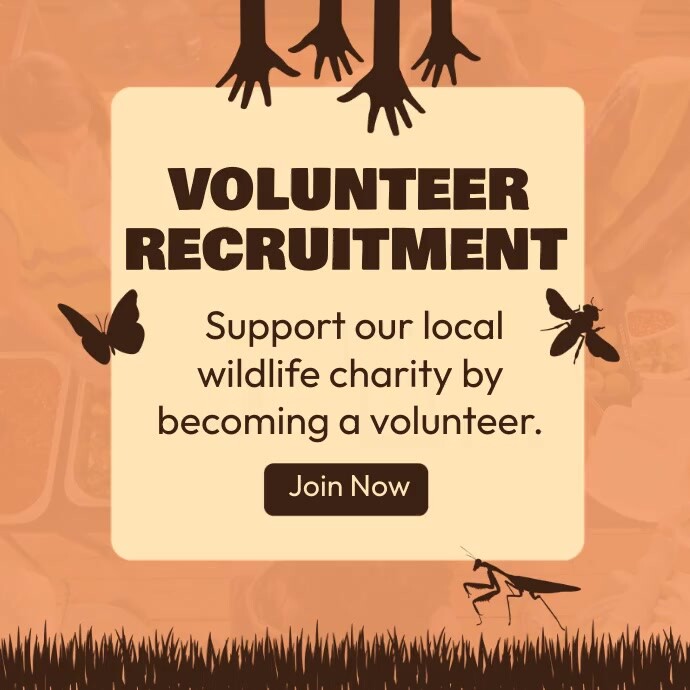 Volunteer Recruitment Template | PosterMyWall