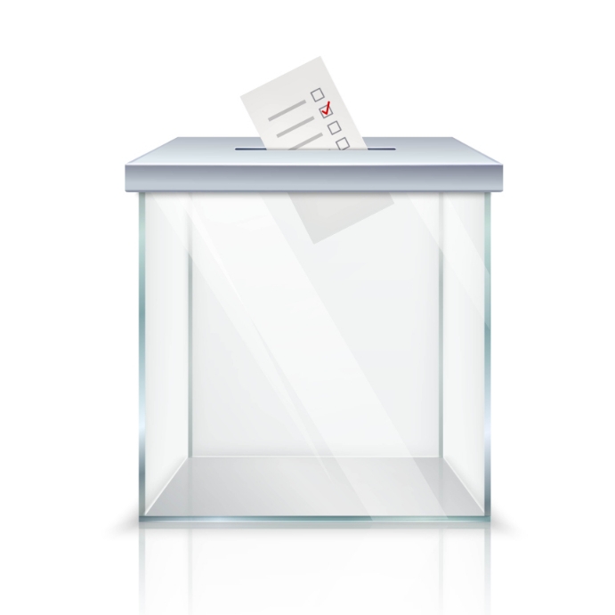 Vote for me Instagram post Template | PosterMyWall