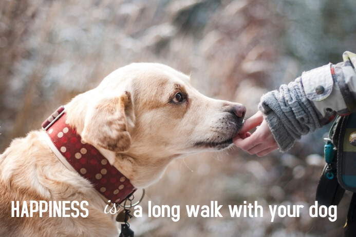 WALK YOUR DOG MONTH Template | PosterMyWall