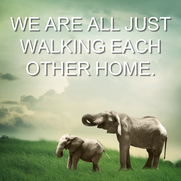 WALKING HOME QUOTE TEMPLATE | PosterMyWall