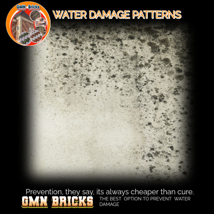 Copy of WATER DAMAGE PATTERNS | PosterMyWall