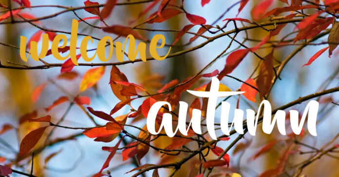 Welcome Autumn Template | PosterMyWall