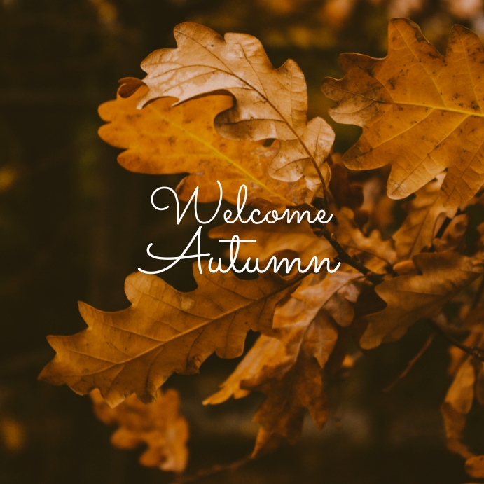Welcome Autumn post for Instagram Template | PosterMyWall