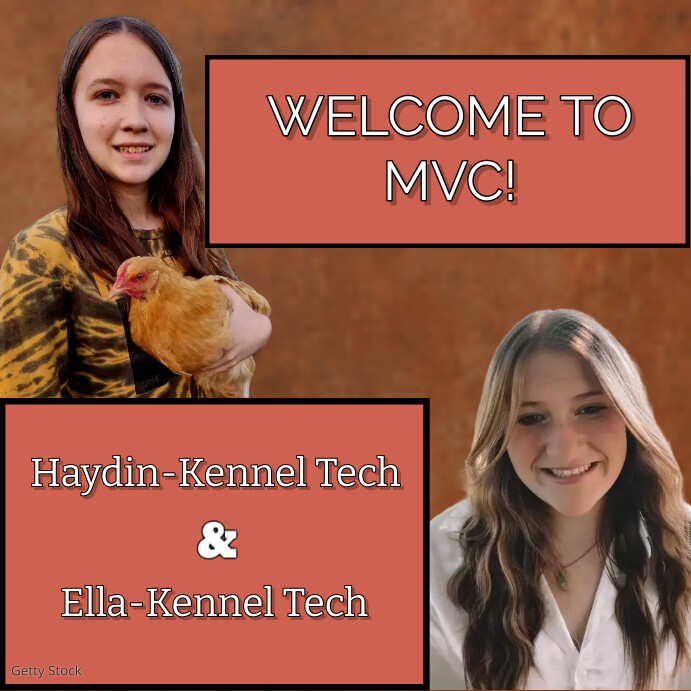 Welcome Employees Template | PosterMyWall