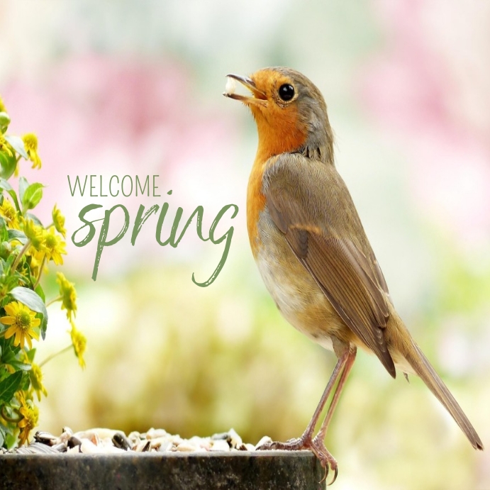 Welcome Spring Instagram Post Template | PosterMyWall