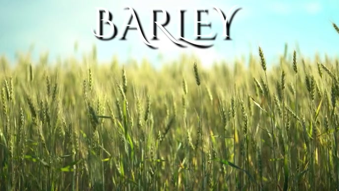 WHEAT FARMING LAND GREEN Template | PosterMyWall