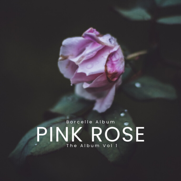 White & Black PINK ROSE Album Cover Template | PosterMyWall