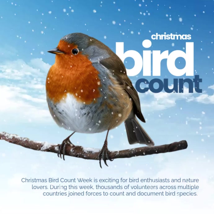 White 3d Christmas Bird Count Week Instagram Post Template | PosterMyWall
