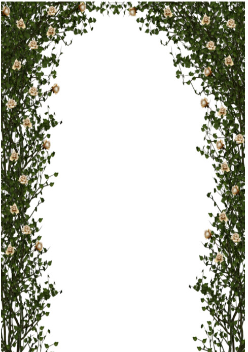 Copy of white and green flowers border art | PosterMyWall