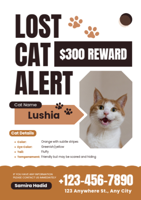 White Brown Modern Lost Cat Alert Flyer Template | PosterMyWall