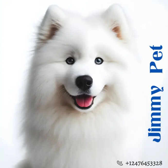 White Dog on a white background poster Template | PosterMyWall
