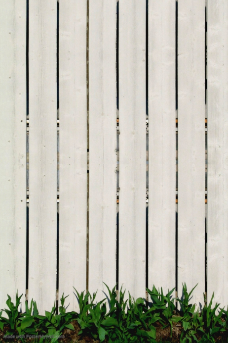 Copia de | PosterMyWall