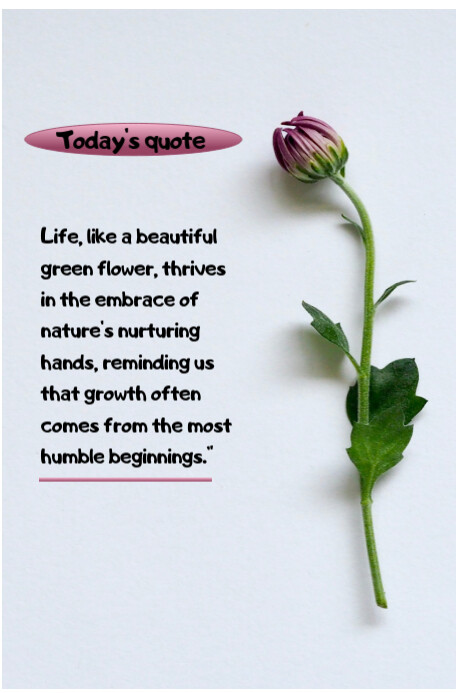 Copy of White Floral Life Quote Poster | PosterMyWall