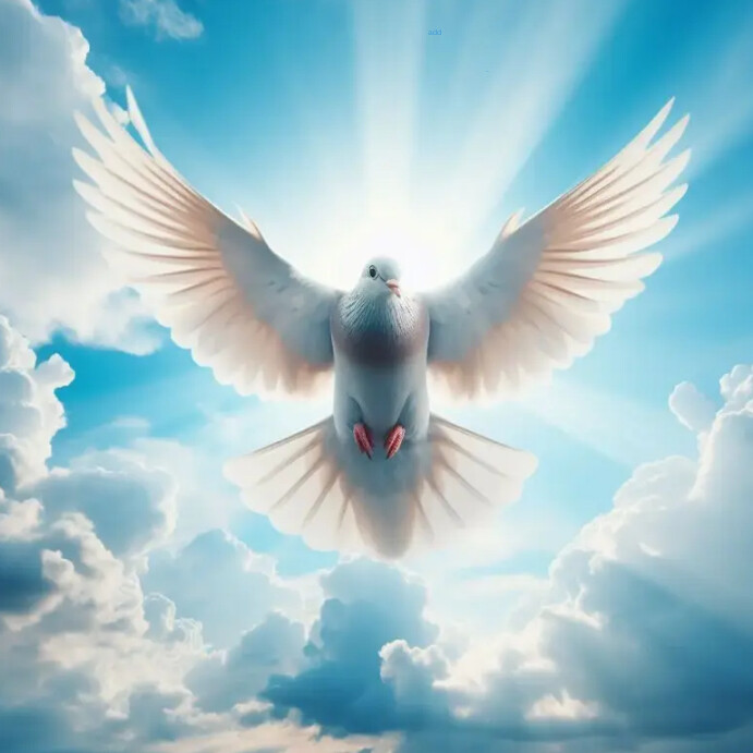 White Flying dove in the sky Template | PosterMyWall