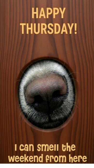 White Gradient Funny Thursday Dog Meme – “i Can Smell The Weekend ...