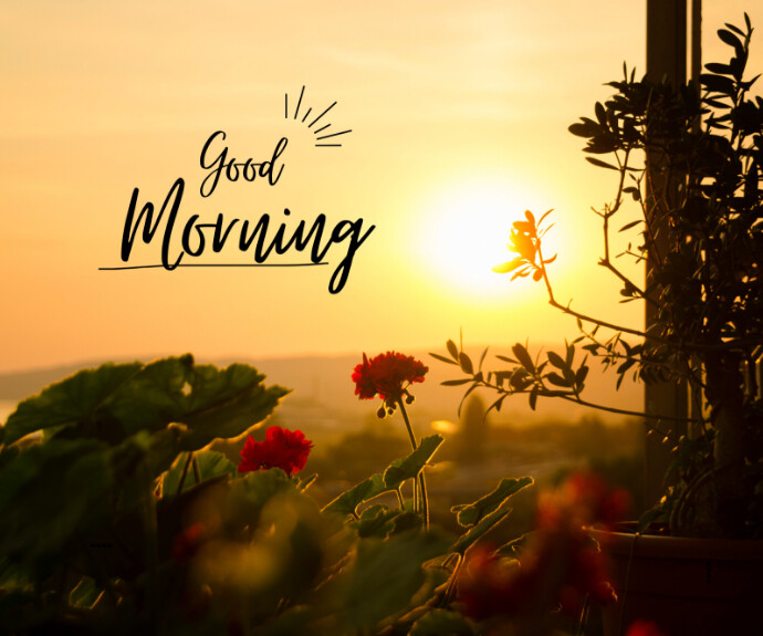 White Gradient Peaceful Morning Sunrise With Flowers – Inspirational ...