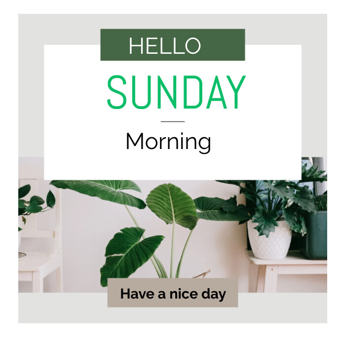 White Hello Sunday Morning Wishes Square (1:1 Template | PosterMyWall