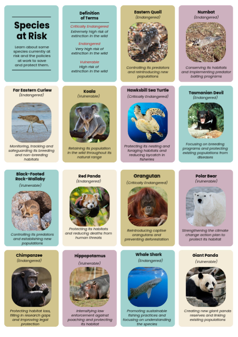 Plantilla de Endangered Species Awareness A3 | PosterMyWall