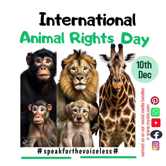 White Illustrative International Animal Rights Day Instagram Post ...