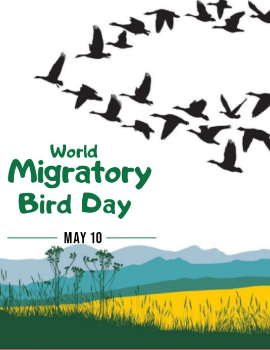 Copy of White Illustrative World Migratory Bird Day Flyer (us Letter ...