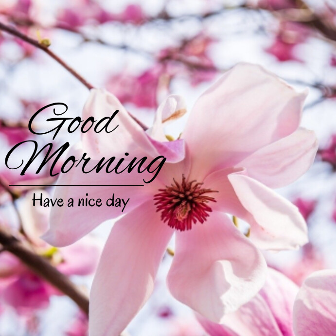 White Joyful Cheerful Morning Greetings Inst Template | PosterMyWall
