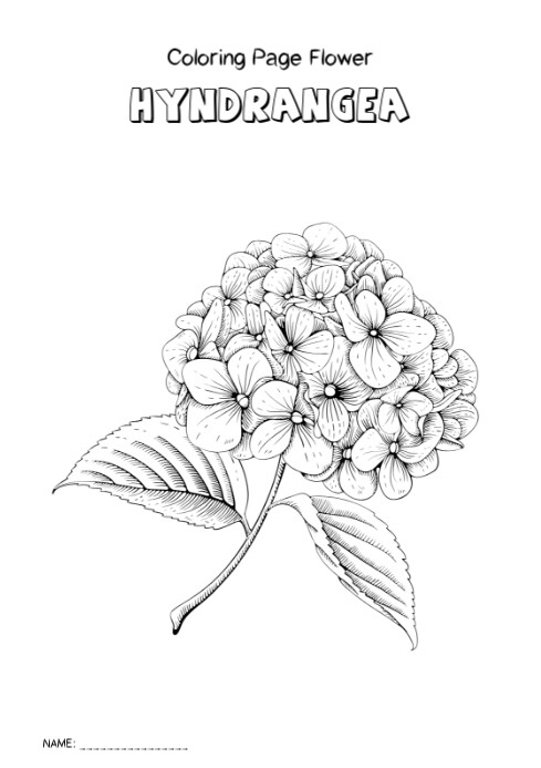 White Joyful Colouring Pages For Adults And Kindergarten A4 Template ...