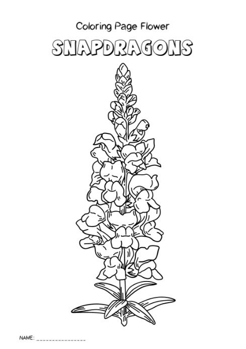 White Joyful Colouring Pages For Adults School Worksheets A4 Template ...