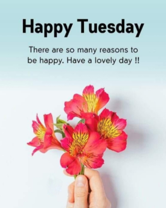 White Joyful Happy Tuesday Greeting | Positive Morning Quote With ...