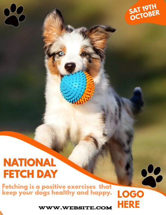 Plantilla de White Joyful National Fetch Day Flyer (us Letter ...