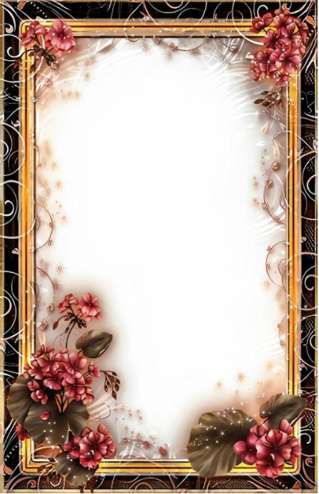 Plantilla de White Later Head Half Page Wide | PosterMyWall