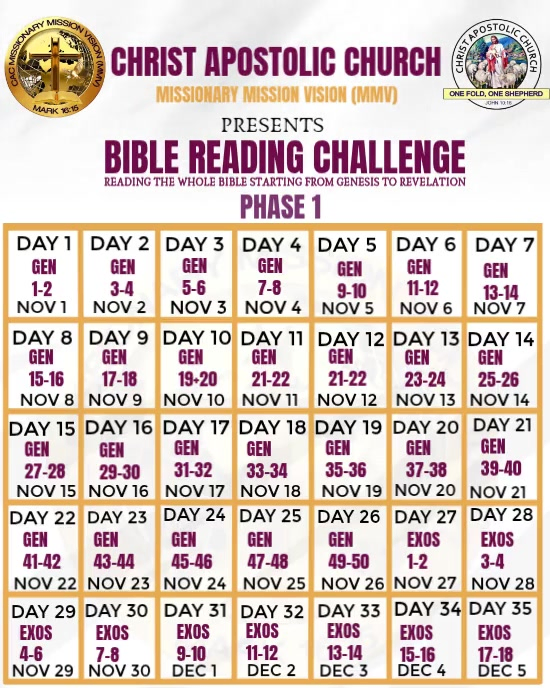 Plantilla de White Maximalist Bible Reading Schedule Instagram Portrait | PosterMyWall