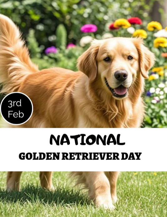 White Maximalist National Golden Retriever Day Flyer (us Letter ...