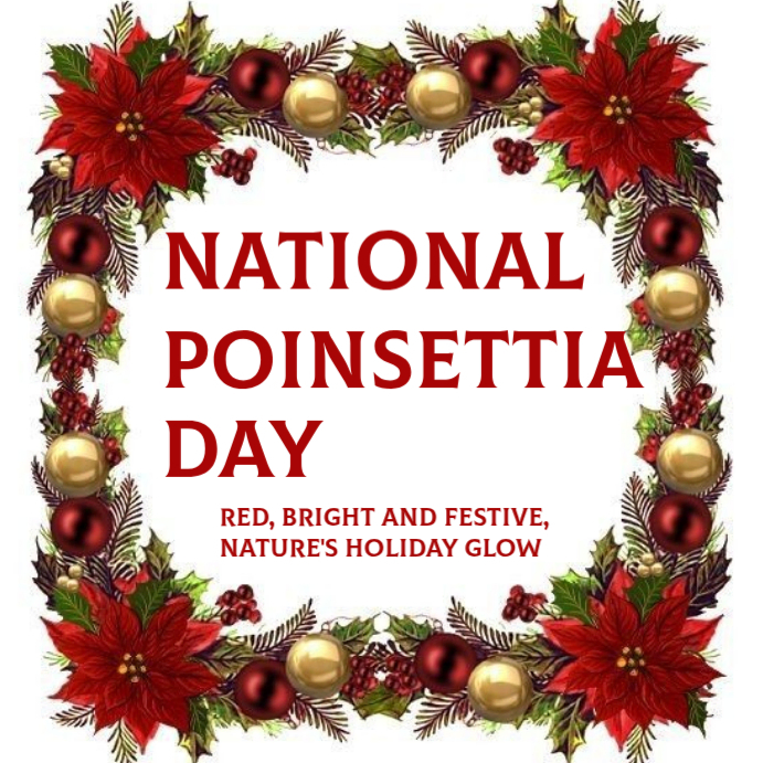 National Poinsettia Day Template | PosterMyWall