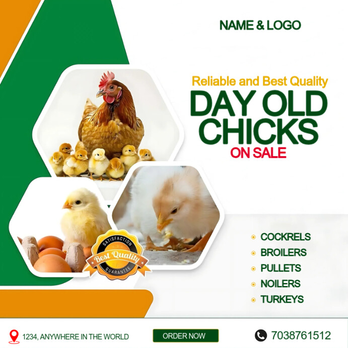 Copy of White Maximalist Poultry Farm Flyer Instagram Post | PosterMyWall