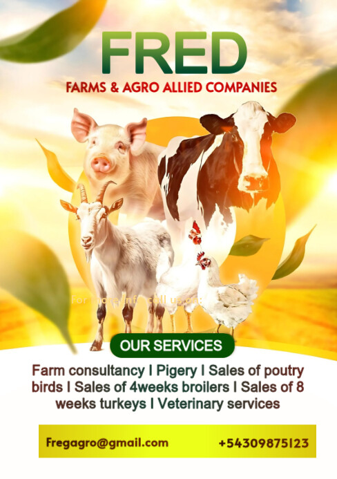 White Maximalist Poultry Farm Poster A5 Template | PosterMyWall