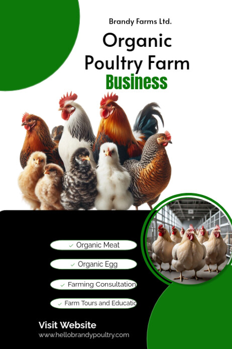 Copy of White Maximalist Poultry Poster | PosterMyWall