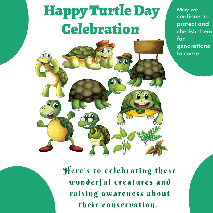 White Maximalist Turtle Day Celebration Inst Template | PosterMyWall