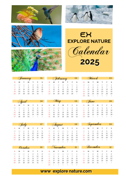 White Modern & Minimal 2025 Calendar A2 Template | PosterMyWall