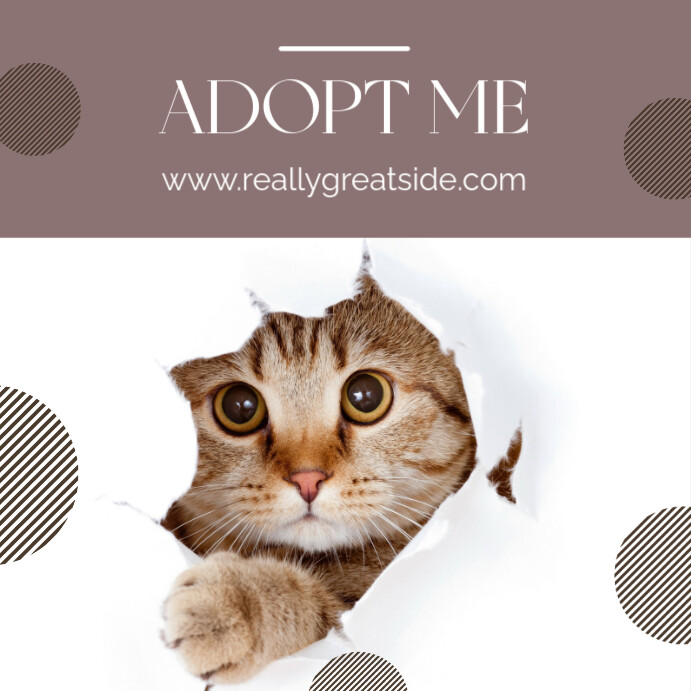 White Modern & Minimal Adopt Me Instagram Post Template | PosterMyWall