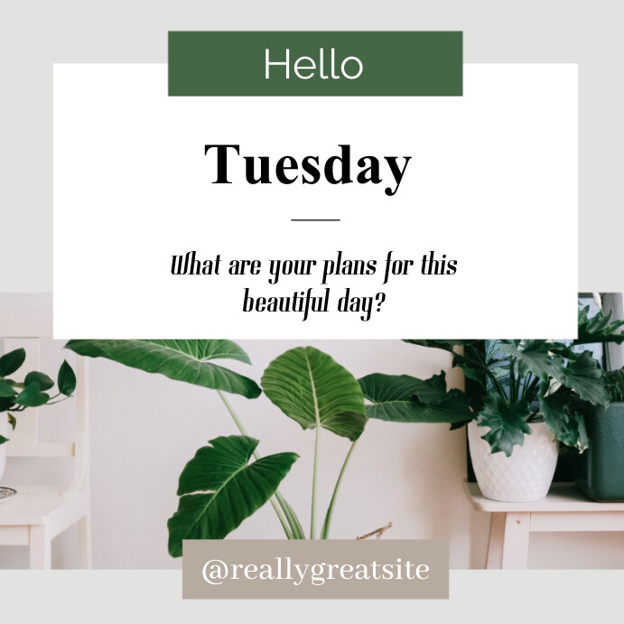 White Modern & Minimal Happy Tuesday Instagra Template | PosterMyWall