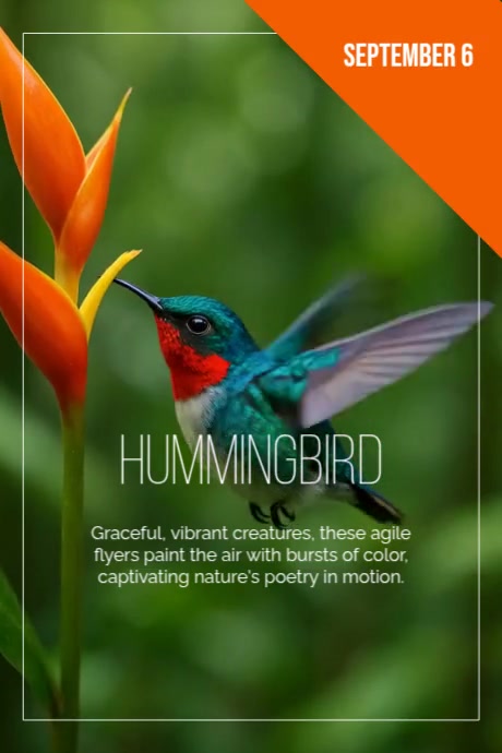 White Modern & Minimal Hummingbird Day Poster Template | PosterMyWall