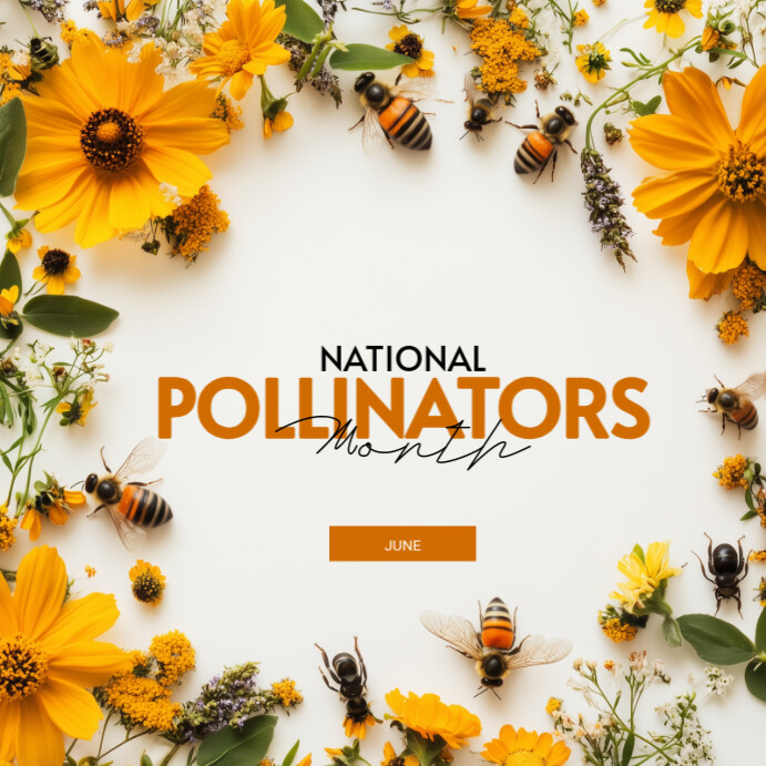 Copia de White Modern & Minimal National Pollinators Month Instagram ...