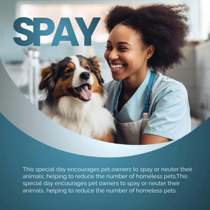 Copy of White Modern & Minimal Spay Day Instagram Post | PosterMyWall