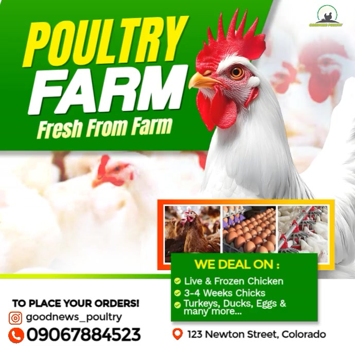 White Modern & Minimal Editable Poultry Business Template Instagram ...