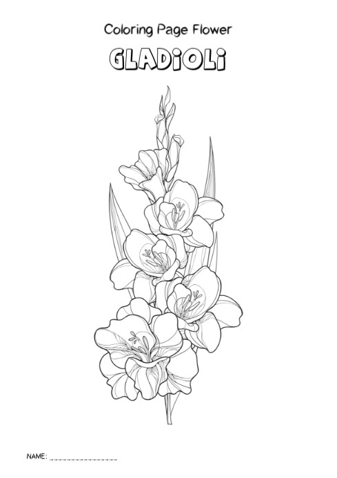 White Pastel Colouring Pages For Adults A4 templaat | PosterMyWall