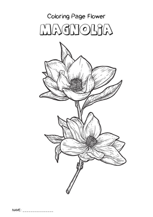 White Pastel Colouring Pages For Adults And Kids A4 Template | PosterMyWall