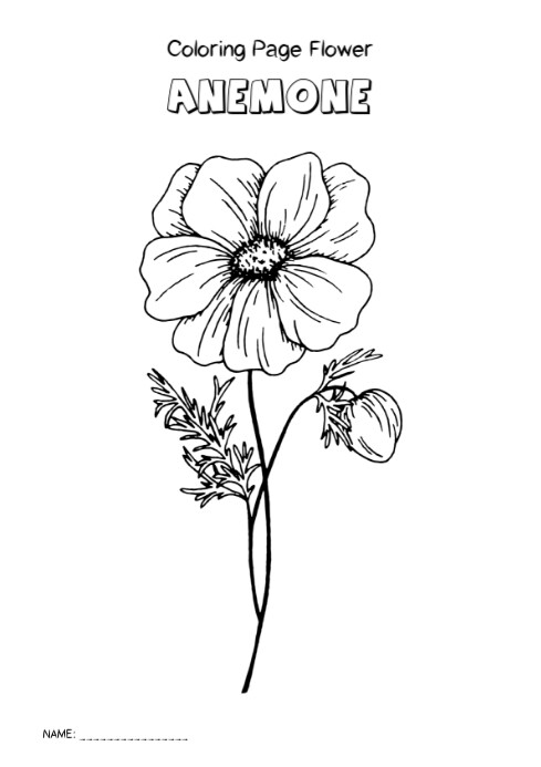 Plantilla de White Pastel Colouring Pages For Adults And Preschool A4 ...