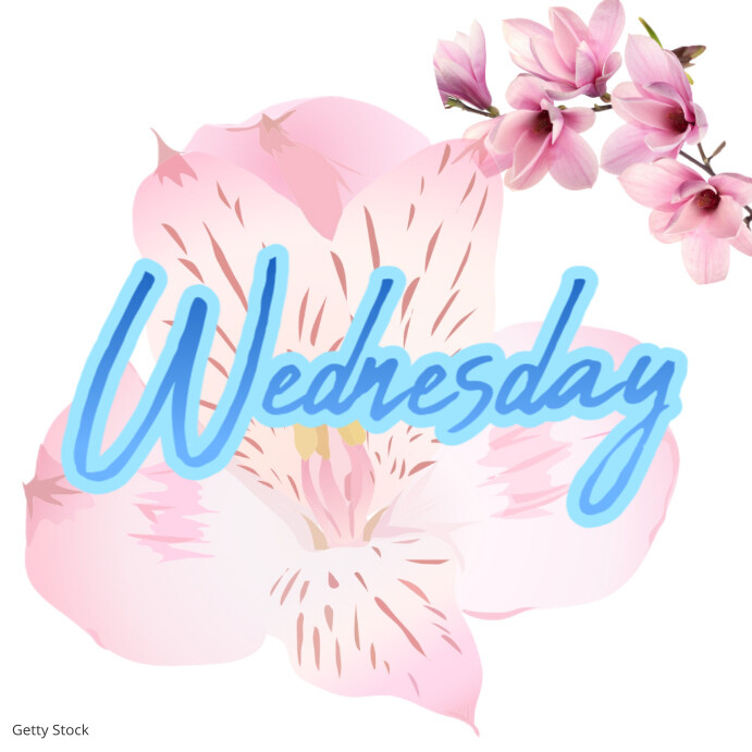 Copy of White Pastel Wednesday Instagram Post | PosterMyWall